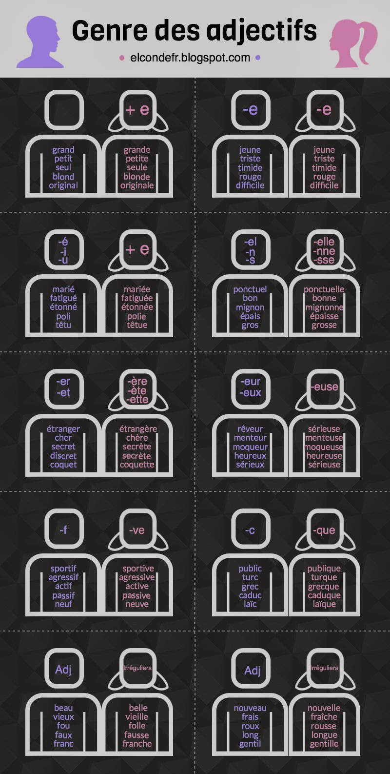 El Conde. fr: Le masculin et féminin des adjectifs qualificatifs