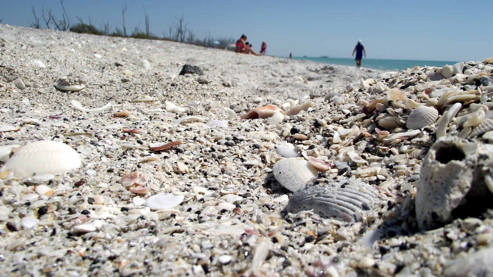 May you always have a seashell in your pocket & sand between your toes