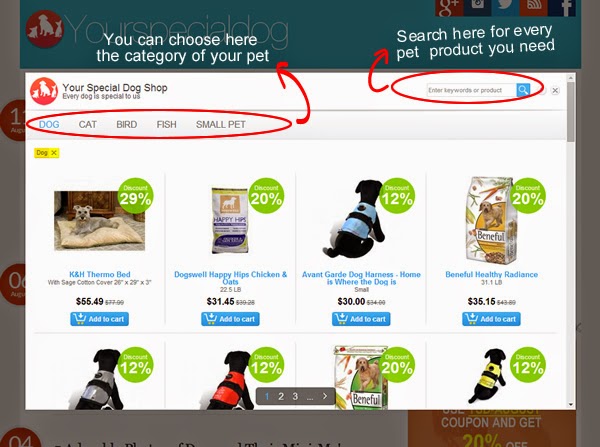 BIG DISCOUNT for all pet products ~ Your Special Dog