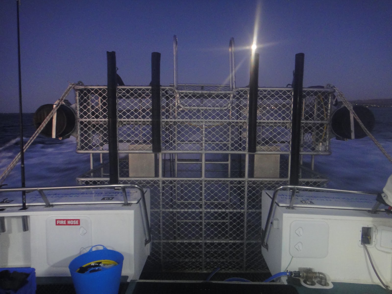 The Australian Project: Neptune Island - Jaws