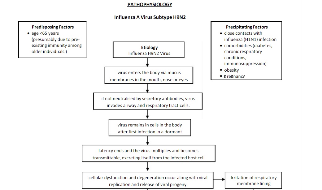 Pathoshoppe: Pathophysiology Influenza A Virus Subtype H9N2