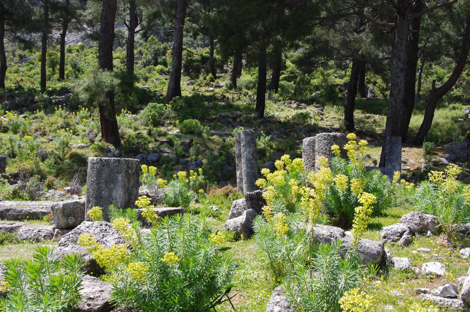 Pinara - Xanthos -Tlos - Fethiye: Pinara-Xanthos-Tlos-Fethiye