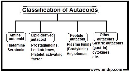 The total concept of autacoids | Concept, definition, function ...