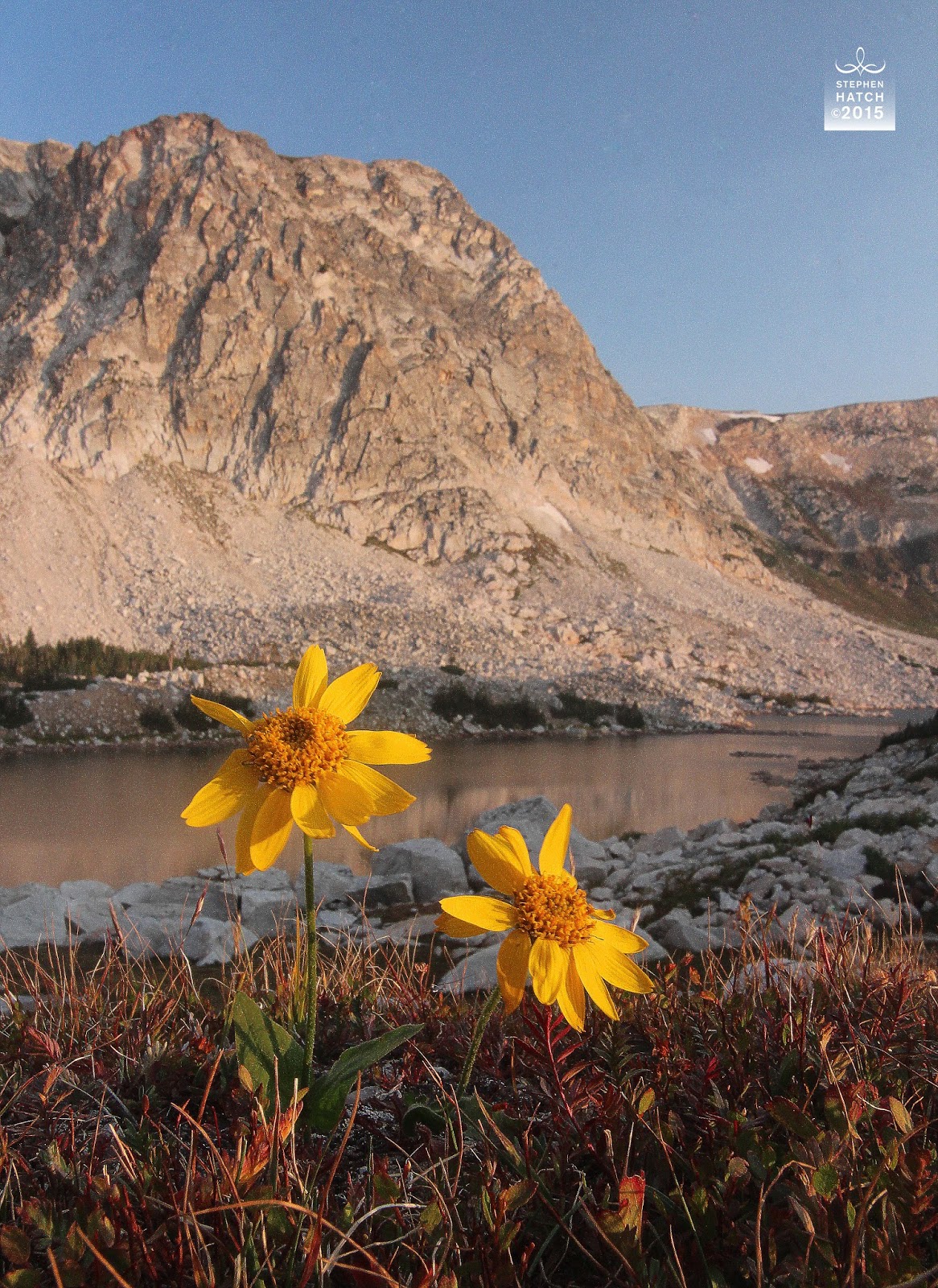 Nature Photo-Quotes: Nature teaches us to think our own thoughts