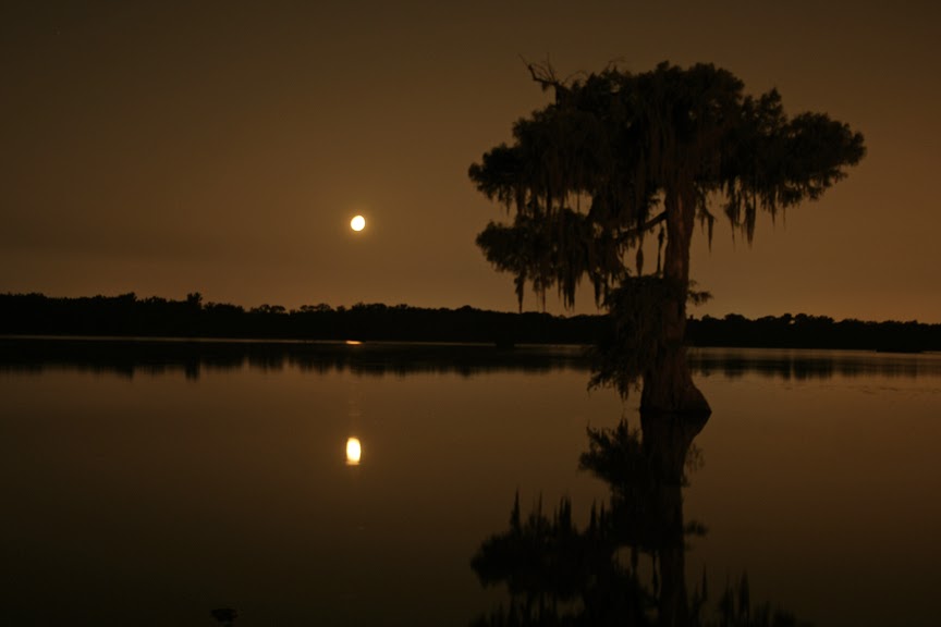 Louisiana Swamp Tours: Cool Autumn Swamp Tours
