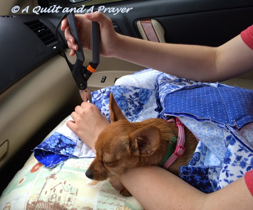 A Quilt and A Prayer: Design Wall Monday - Catch-up Style!!!