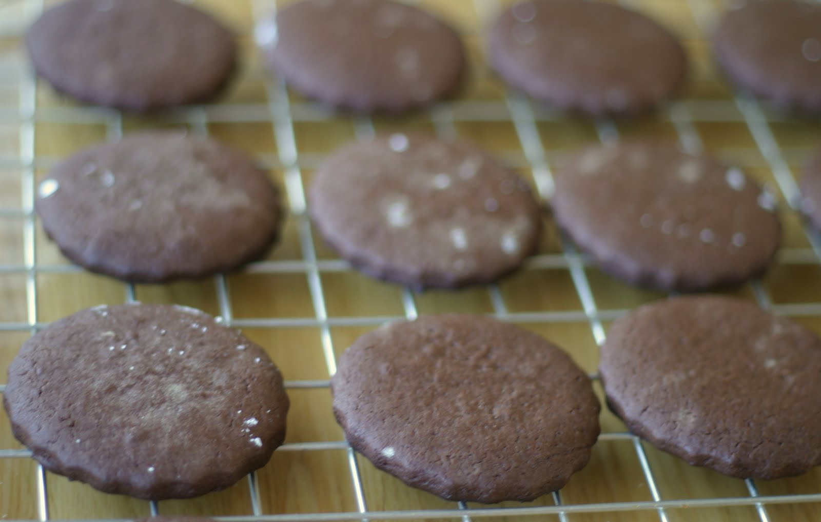 Sjokoladekjeks(Chocolate biscuits) – Marias Salt & Søtt
