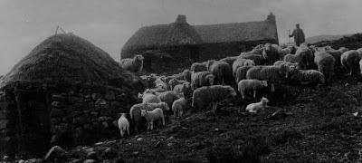 Tour Scotland: Old Photograph Croft Sutherland Scotland