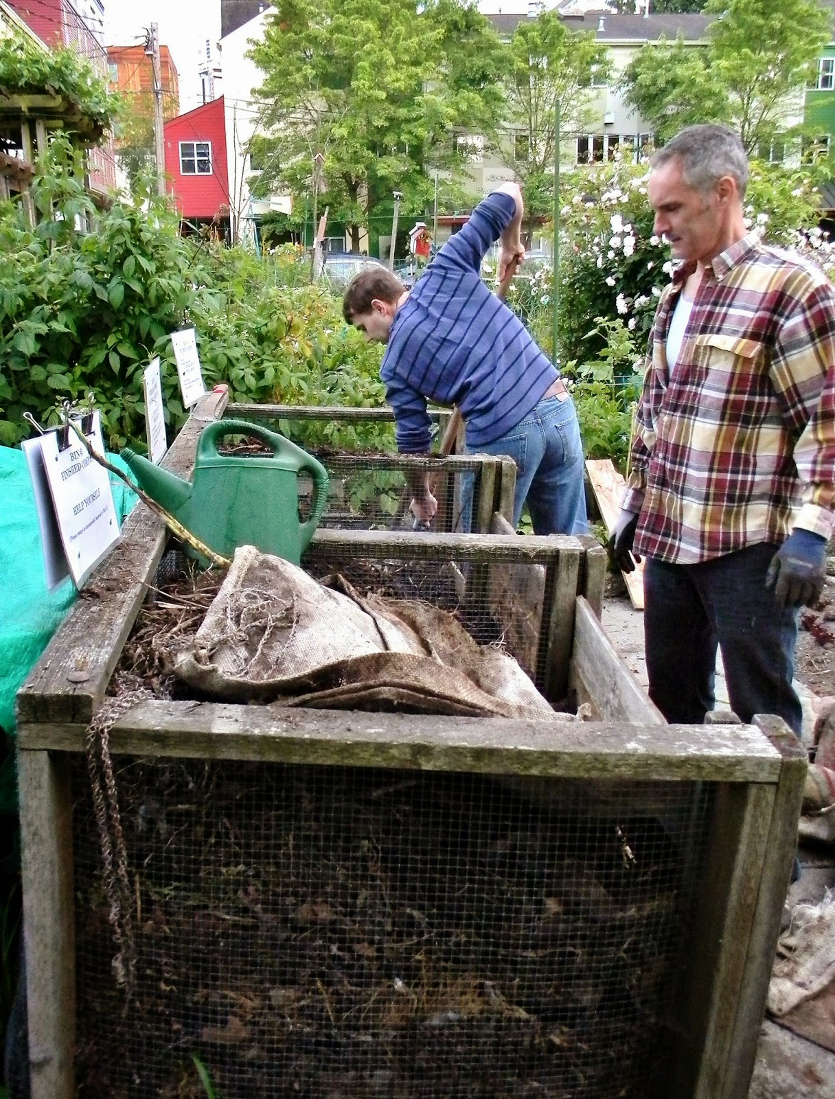 Cascade P-Patch Community Garden: P-Patch Work Party