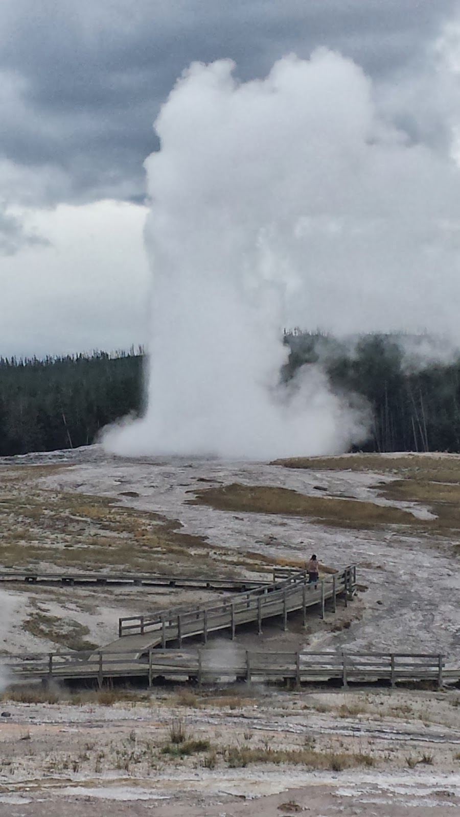 Lively Happenings: Old Faithful Geyser Basin