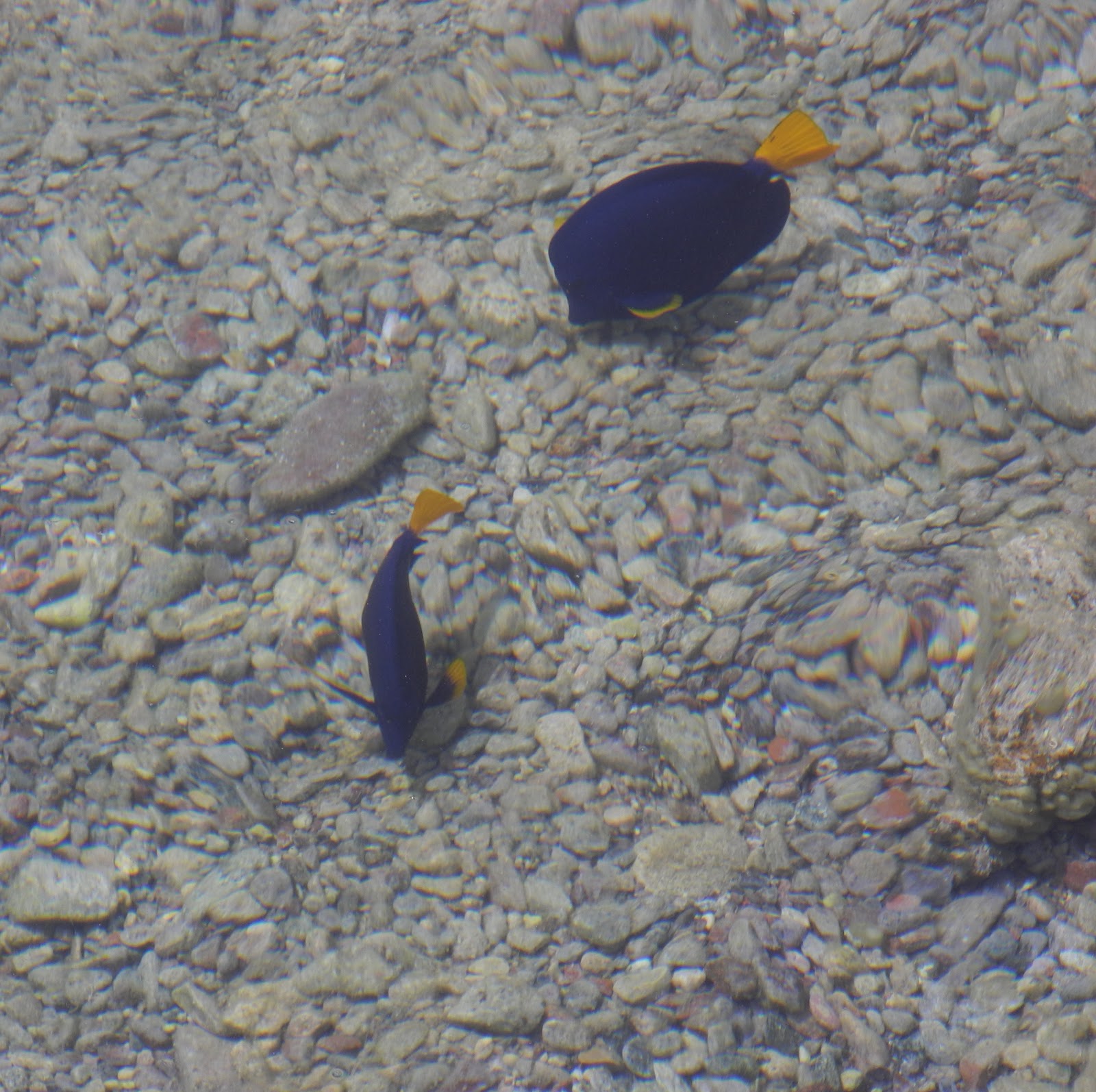 Maailman ympäri 359 päivässä