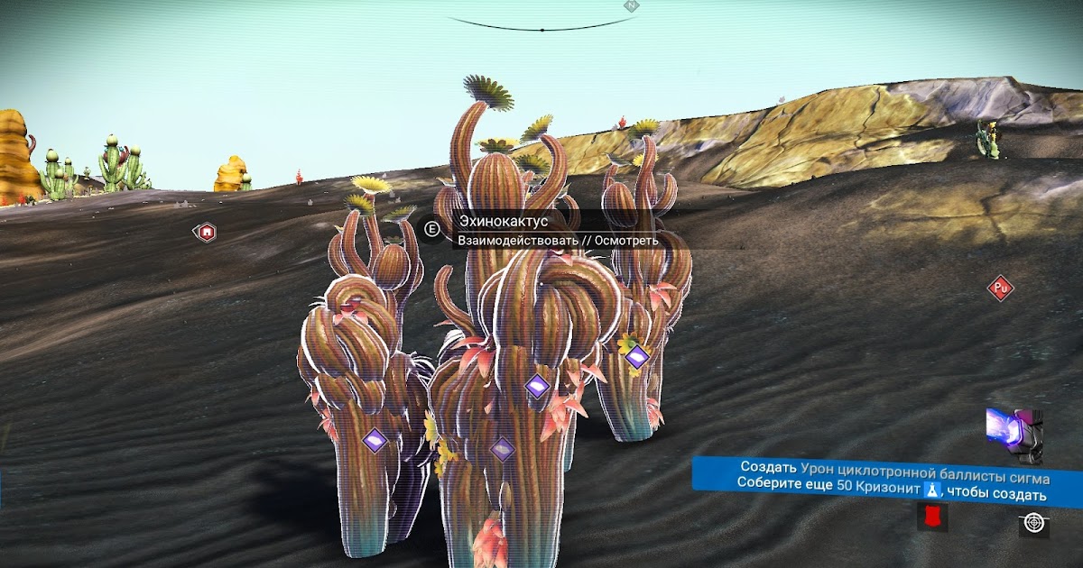 No Man's Sky на русском: Где найти эхинокактус в игре No Man's Sky