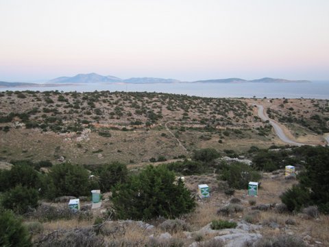 ΜΕΛΙΣΣΟΚΟΜΙΑ ΝΑΞΟΥ-NAXOS BEE