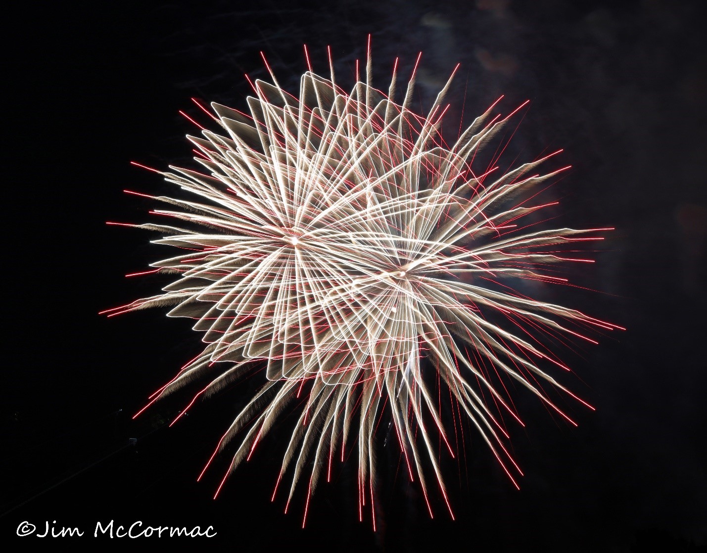 Ohio Birds and Biodiversity: Fireworks as Art