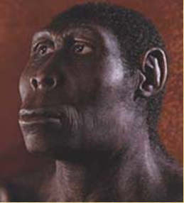 History: Where do we come from?