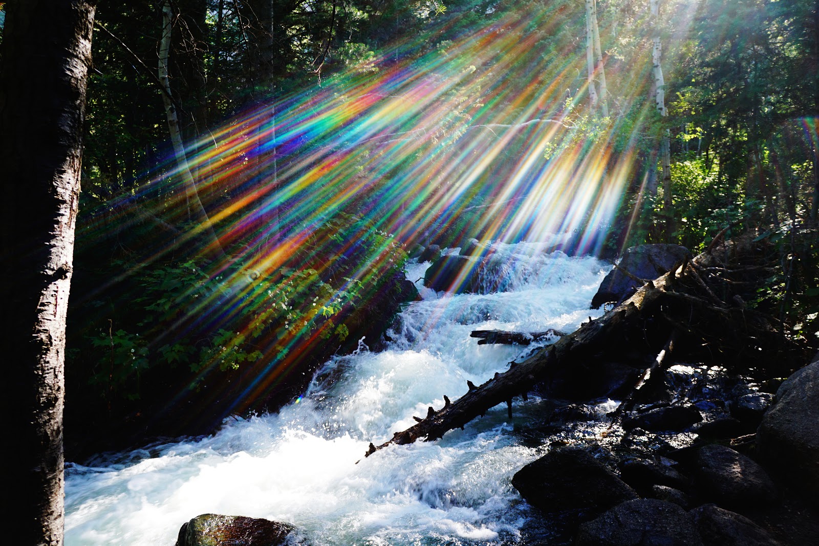 Lazarow World-Hike-About: Pre-Mount Olympus Climb (blog): 'A Utah Water ...