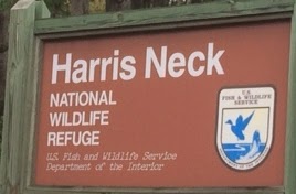 JimBob, Miss Bette and Buster On The Road: Next stop on the tour ...