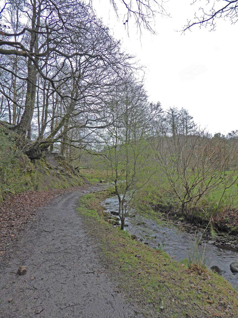 conradwalks: Nicky Nook circuit and new walk plans