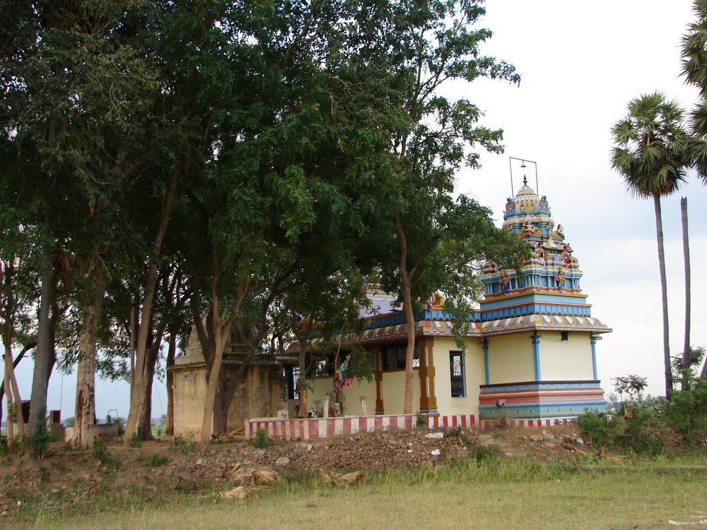 Tamilnadu Tourism: Nallathangal Temple, Vathirairuppu (Watrap ...