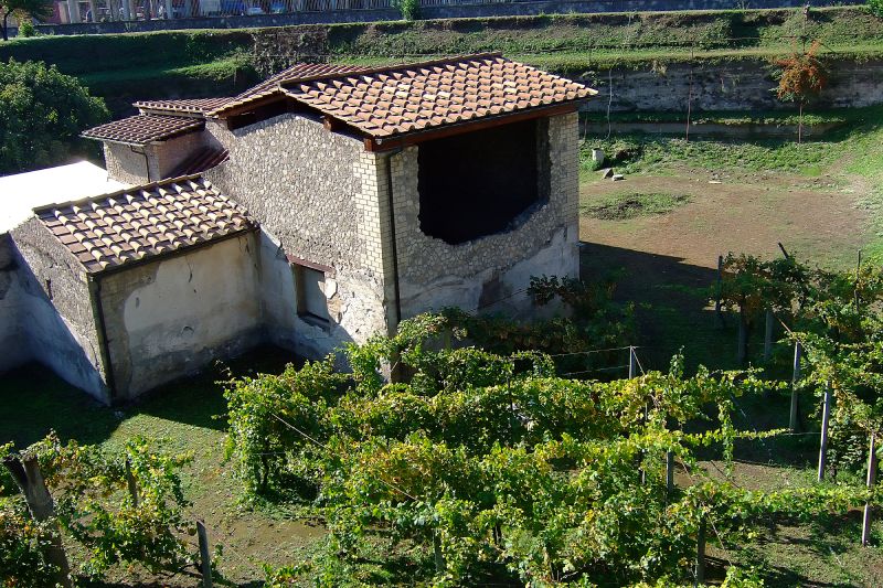 Roman Times: Roman Slavery and the Rate of Manumission