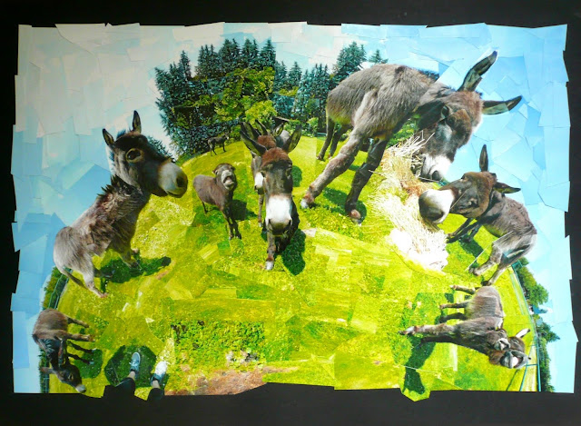 ART mono loco: collages