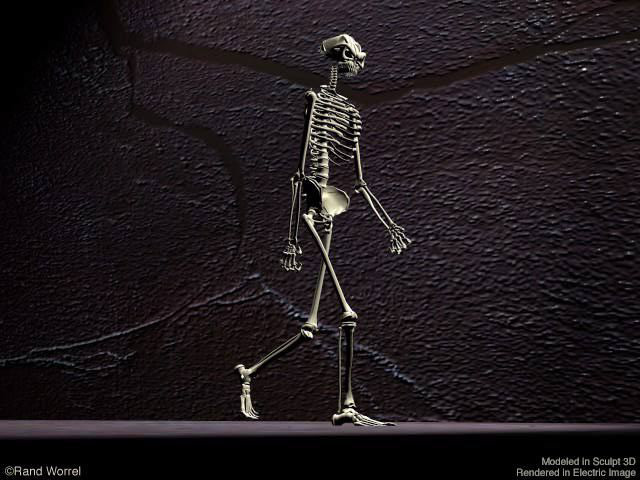 Walking Skeleton
