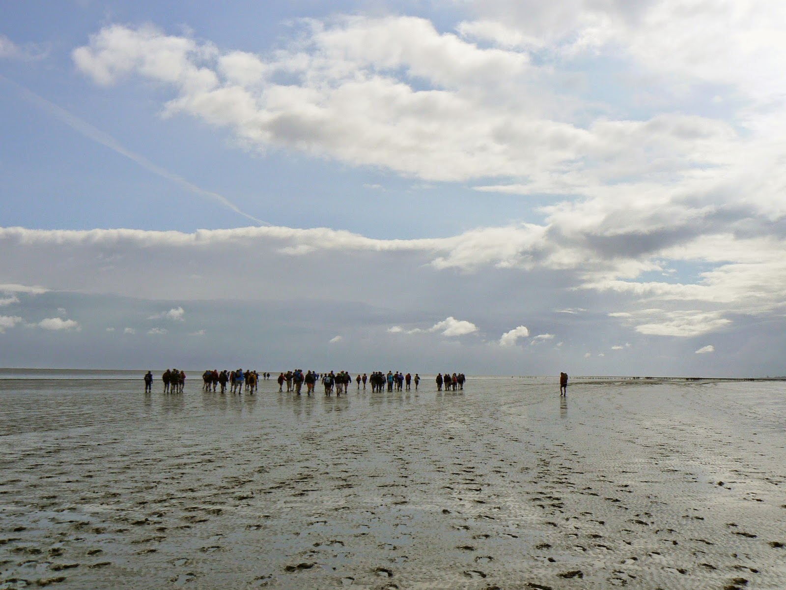 Travel stories from the World: Wadlopen (Mudflat hiking) in the Wadden ...