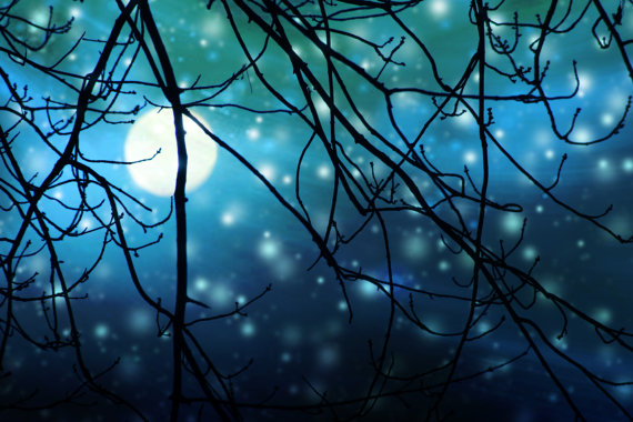 best photos 2 share: Moonlight pictures of nature photography