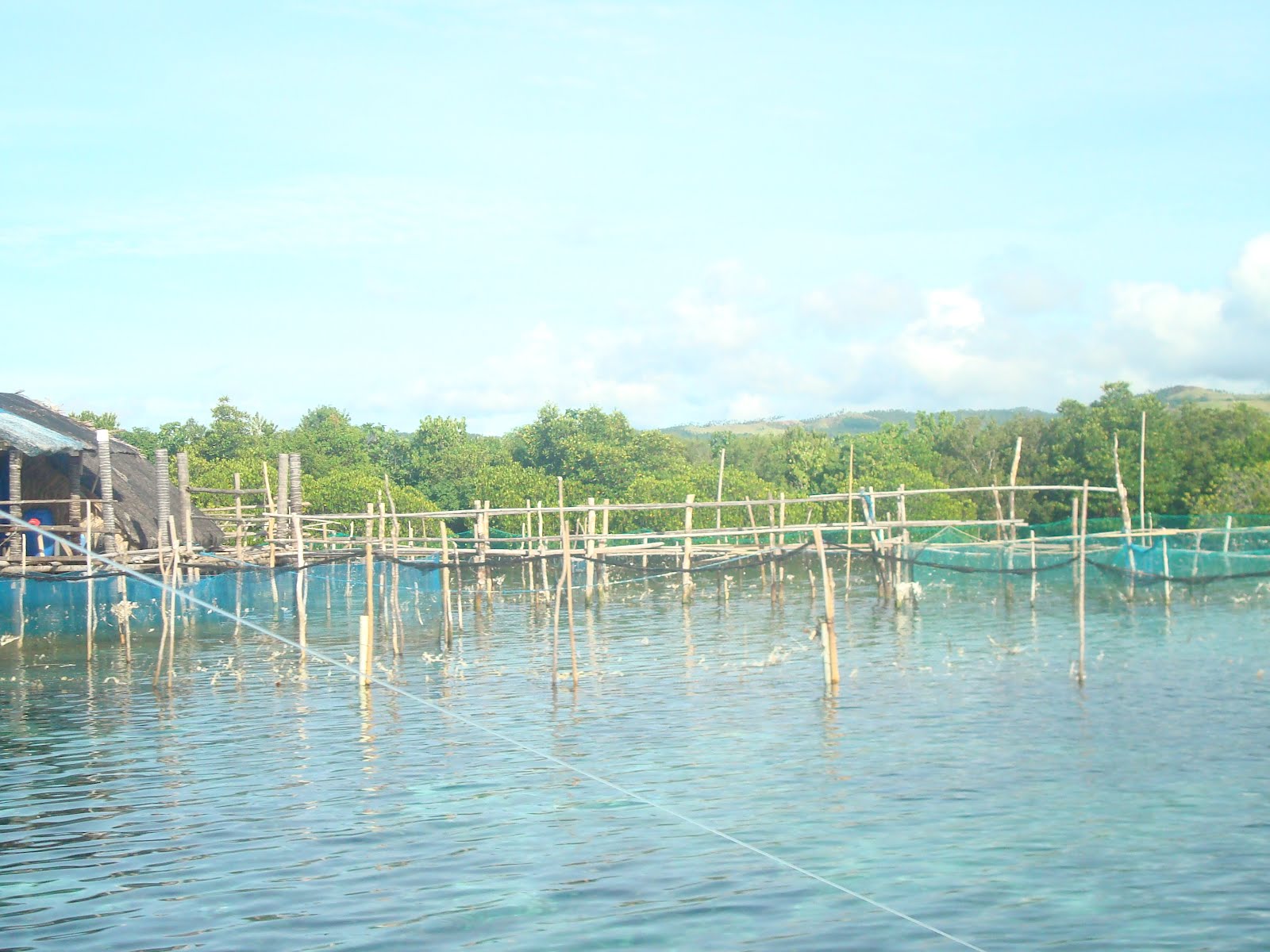Adventures of A Vagabond: Astonishing wonder's of Juag Lagoon: Matnog's ...