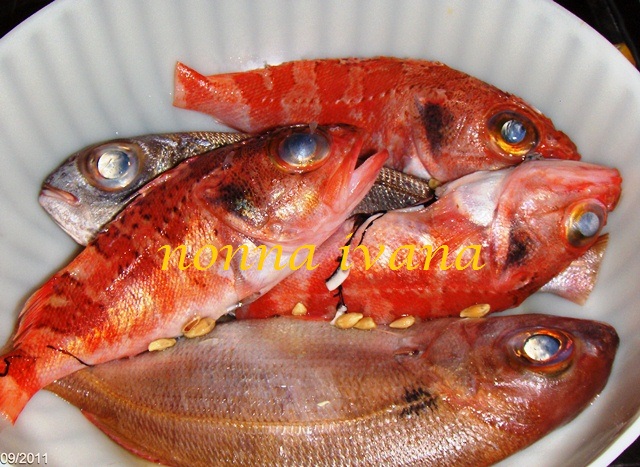 Ancora PESCE: PAGELLO dalla SARDEGNA