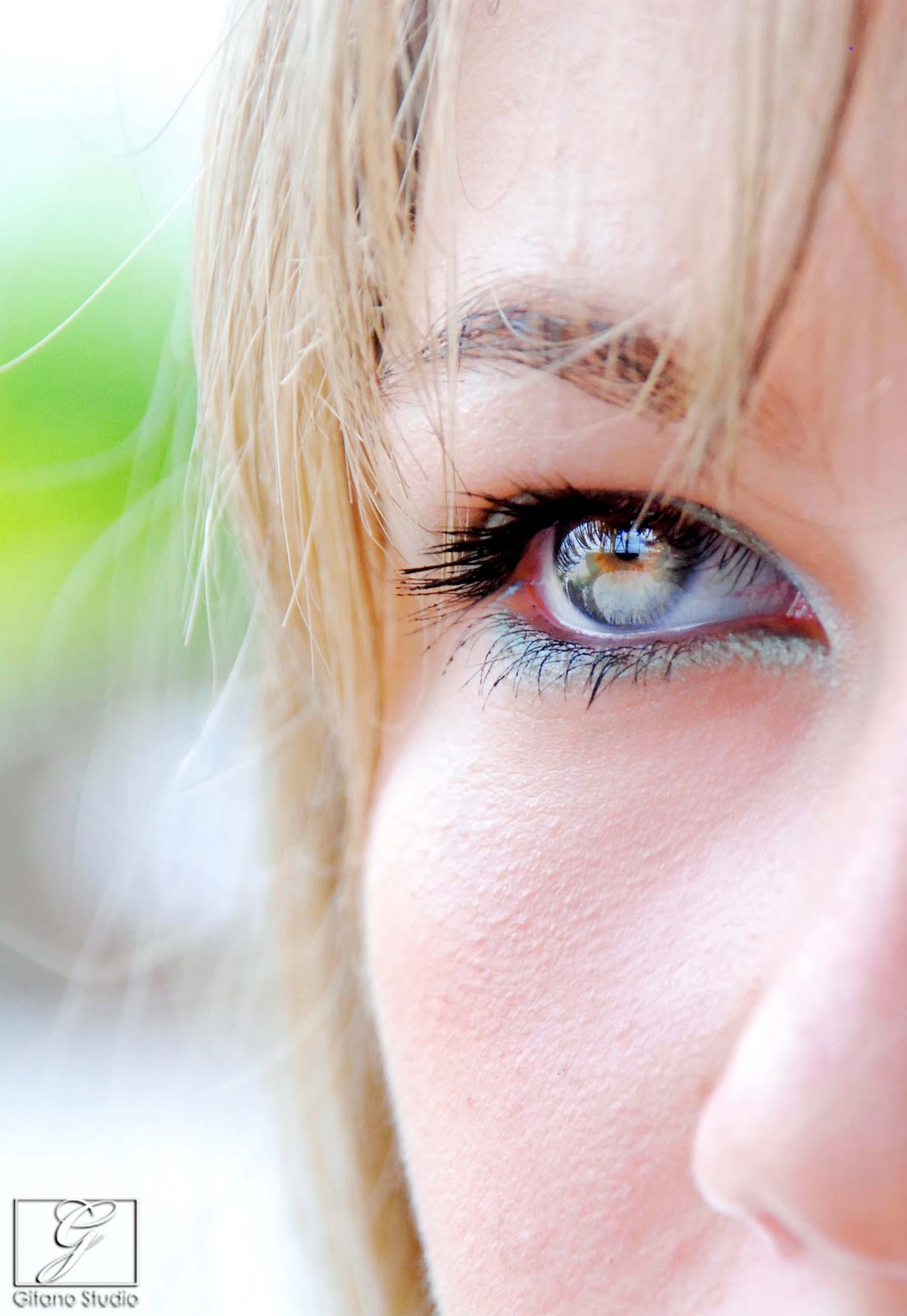 Gitano Studio: Book de Alice Lima