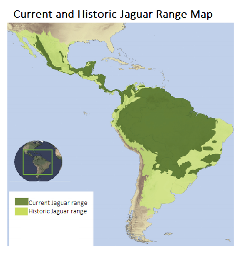 Humans Living with Fierce Animals