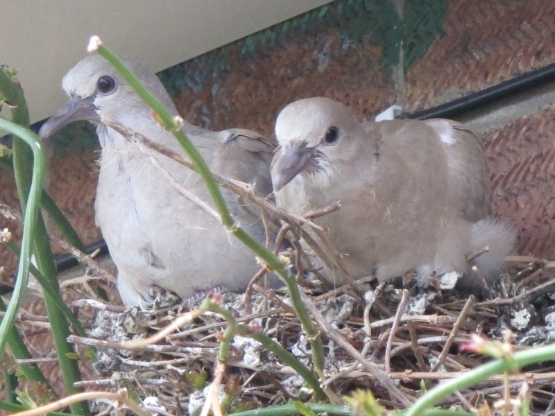 Journeys of heart and mind: April 2012