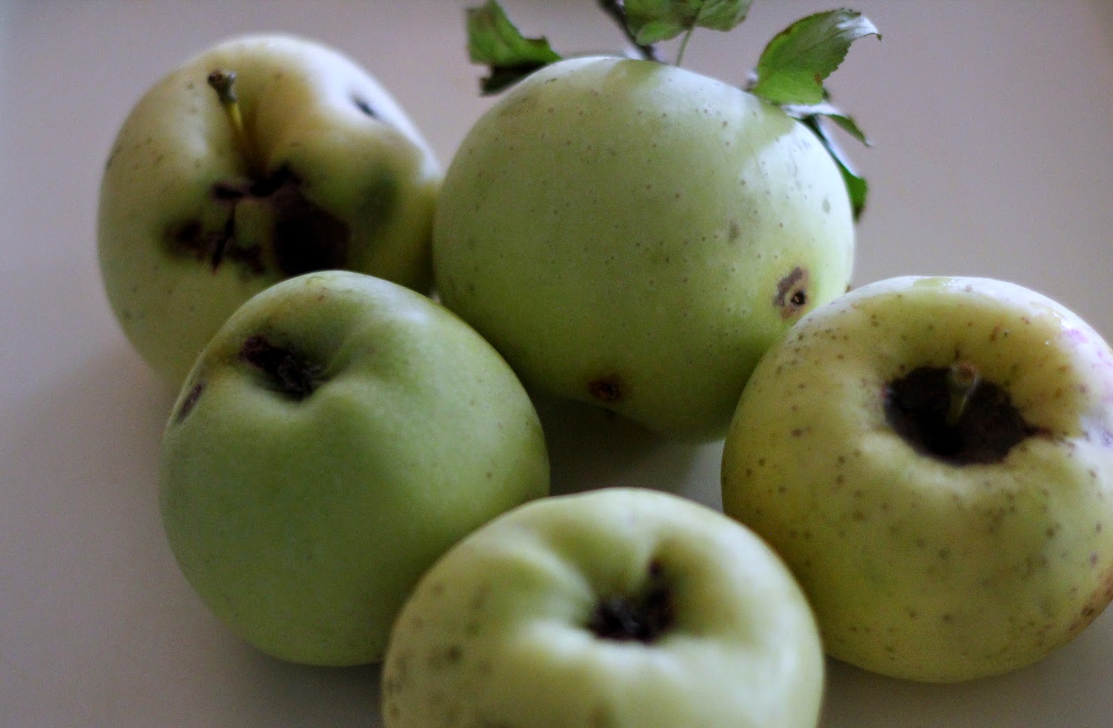The Easiest Way to Dehydrate Apples and Make Dried Apple Chips