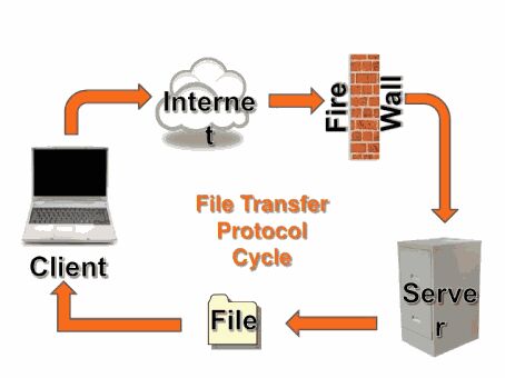 Describe the process of using File transfer protocol.. - Technical ...