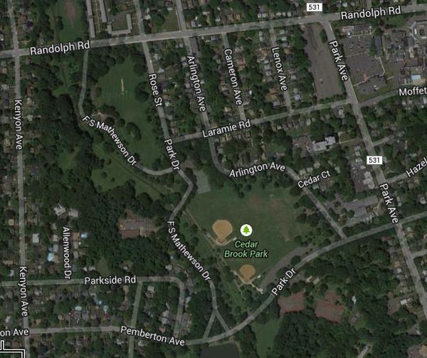 PLAINFIELD TODAY: Plainfield Council supports Cedar Brook Park changes ...