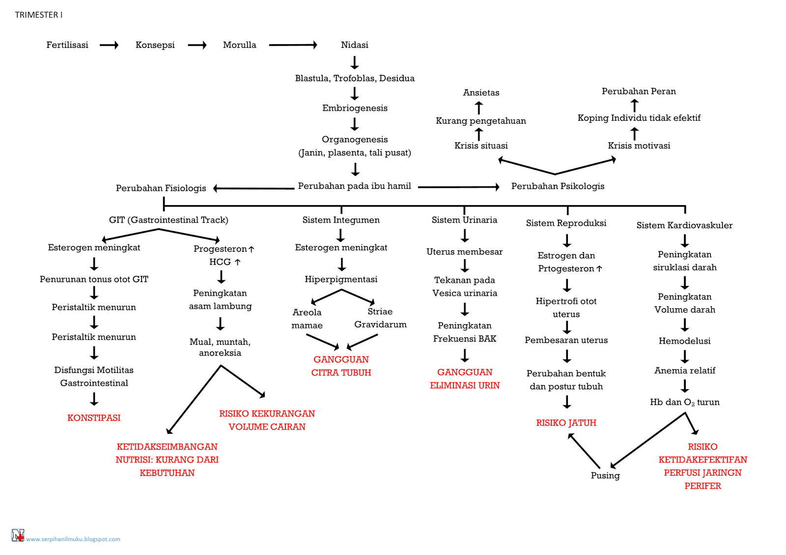 pathway hipertensi - wood scribd indo