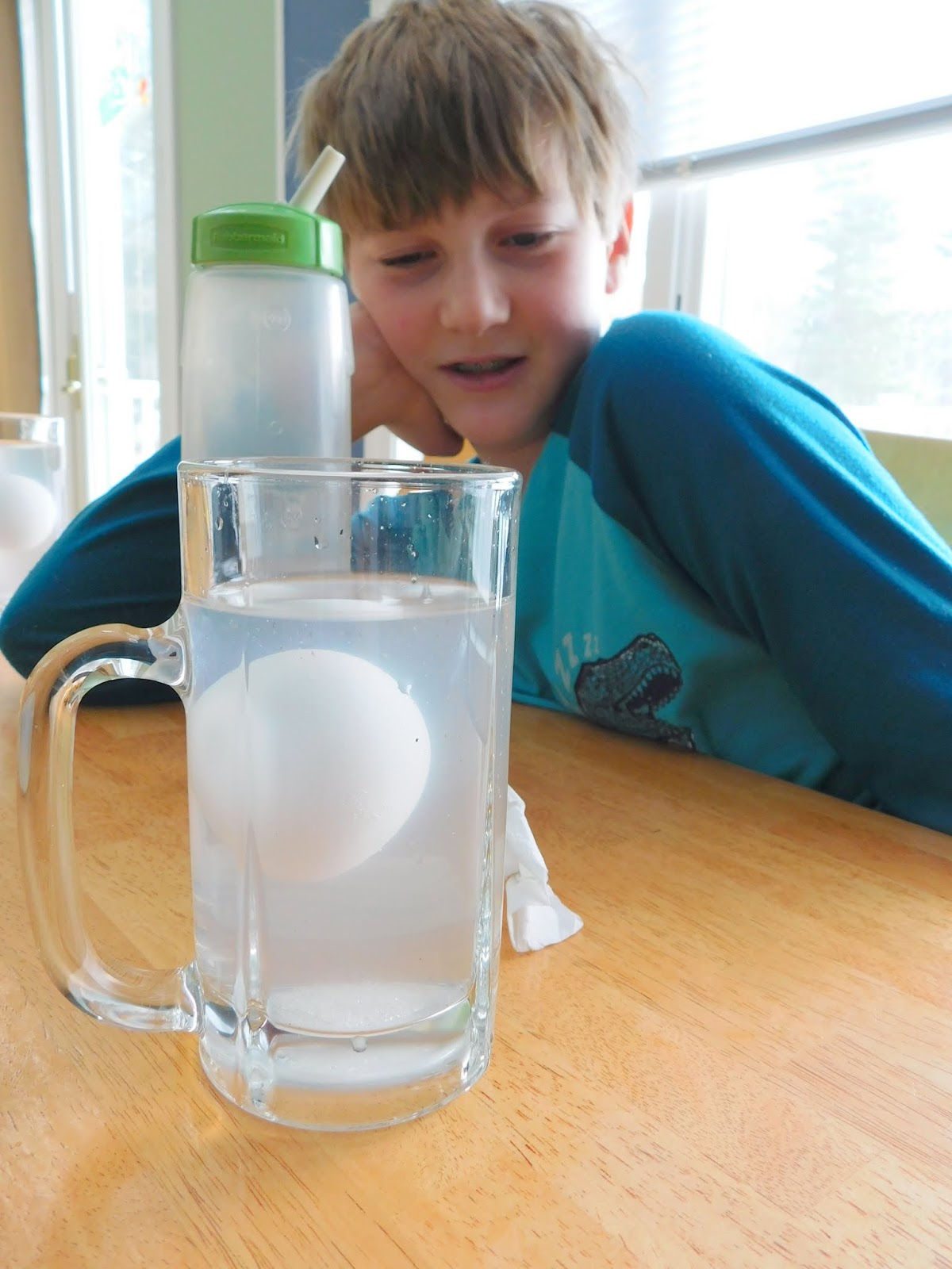 100 Days of Science #18-- Floating Eggs