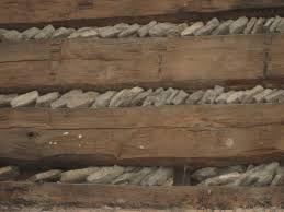 Leaves on the Raney Tree: Early 19th Century Life in Pulaski County ...