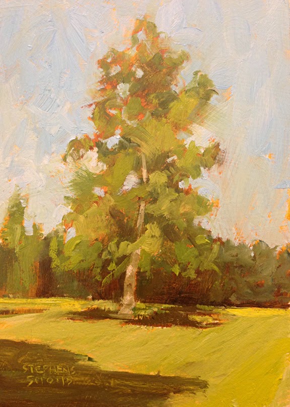 Daily Painting: Maple Tree 5x7