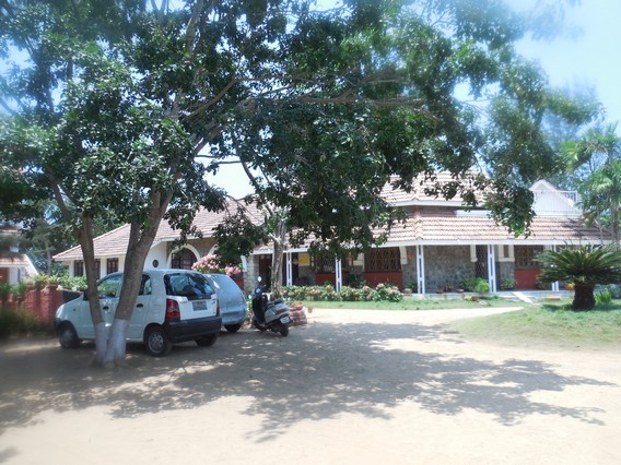 Olive Pastures: Cornerstone House