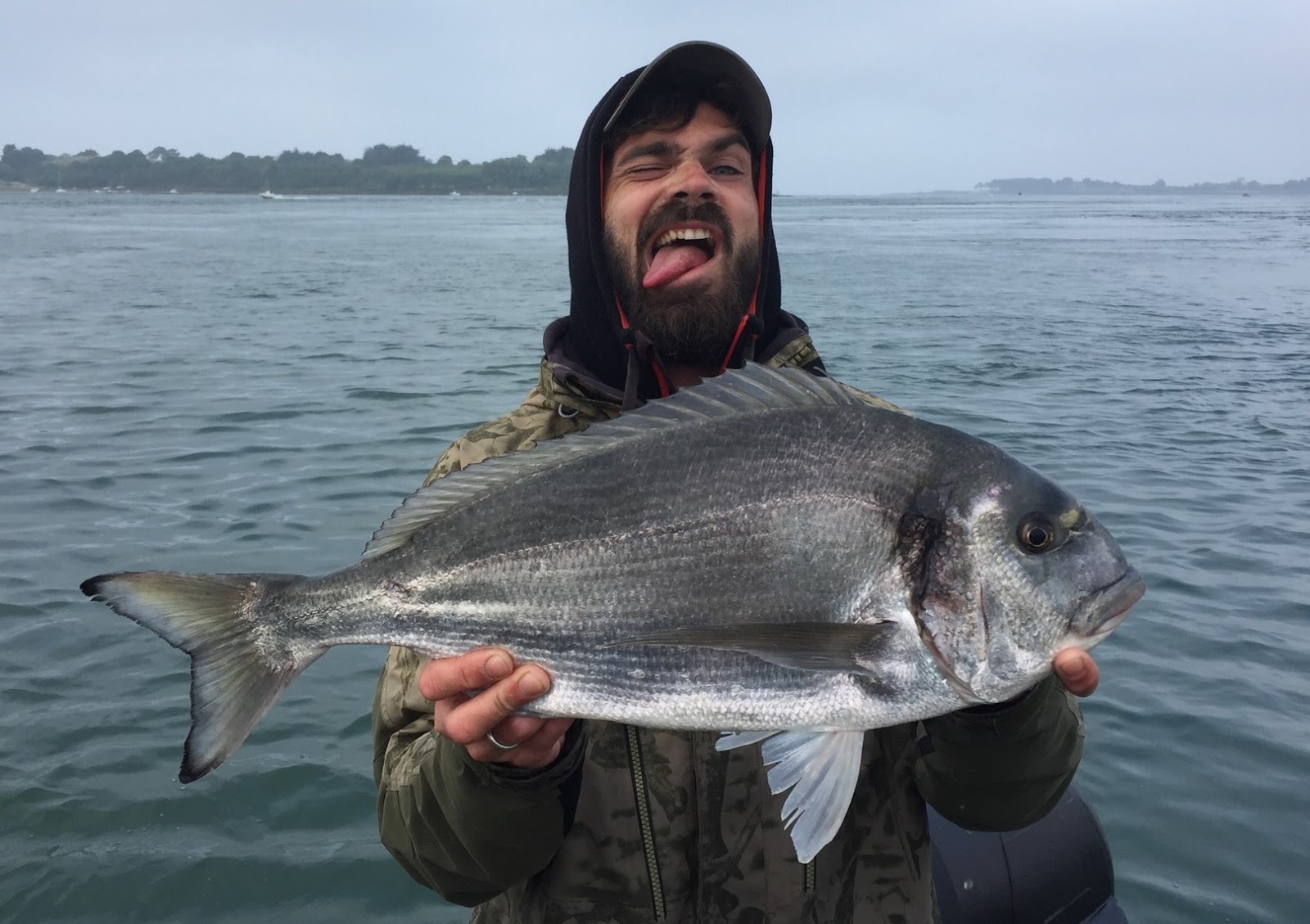 Dorade royale aux leurres