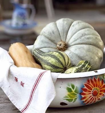 In en om die huis: Plant ’n pampoen of twee.