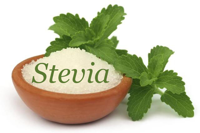 Jelly Gamat Madu G-Sea 350ml: QNC JELLY GAMAT OBAT MIOM