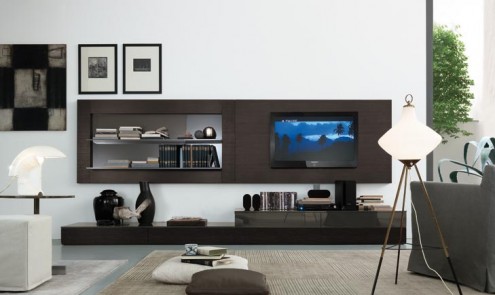 Modern Wall Unit Idea for Living Room ~ HOME INSPIRATIONS