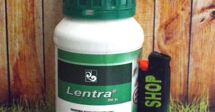 Termitisida Lentra 200SL 250ml Obat Rayap | JESSKA SHOP