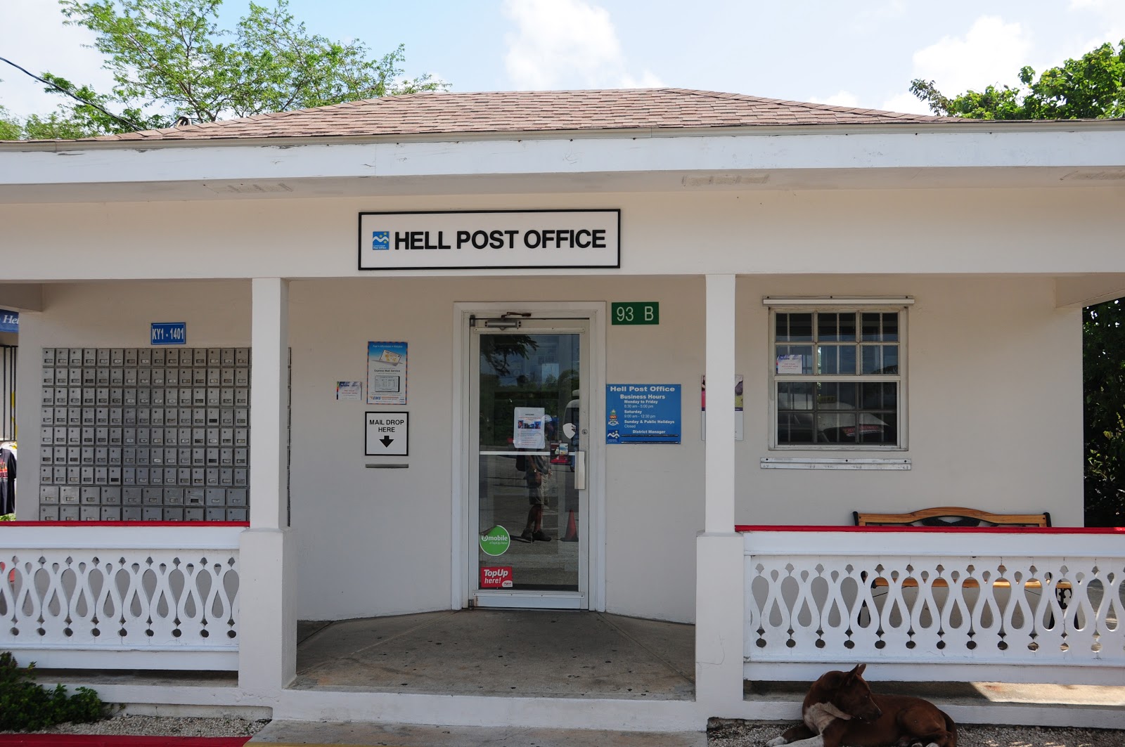 Shower Wisdom: Day Four -Cayman Island