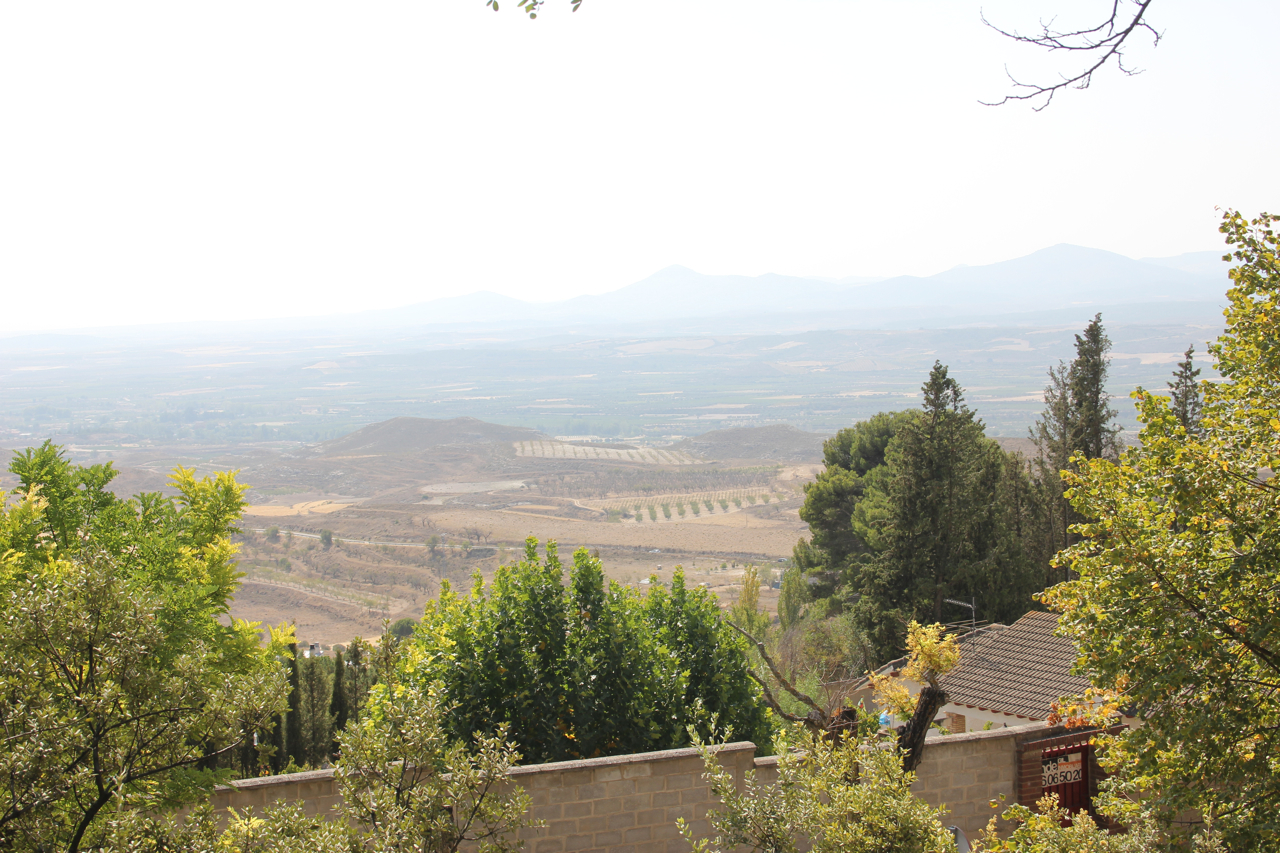 artbouillon: Beast Jesus aka Ecce Mono, Formerly Known as Ecce Homo