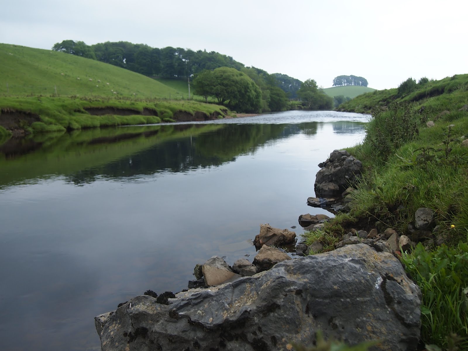 Fly Fishing: River Ure