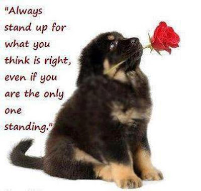 "Always stand up for what you think is right, even if you are the only ...